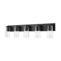 Z-Lite 5 Light Vanity - Walmart Business Supplies