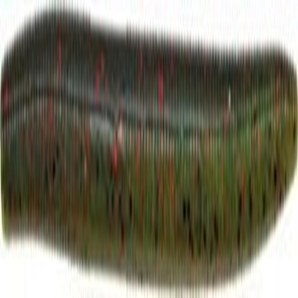 Z-Man ZinkerZ (6 Pk) - Walmart.com