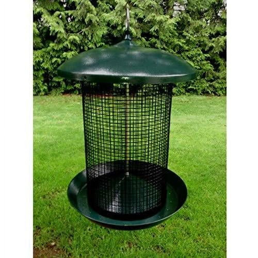 Z203010 Hanging Seed Screen Feeder, Green - Walmart.com
