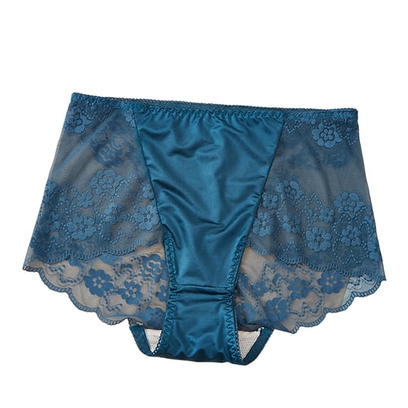 ZACPNCV Womens Lace Thong Bikini Style Sheer Mesh Inserts Breathable ...