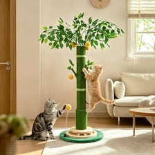 Cat Scratching Posts For Indoor Cats