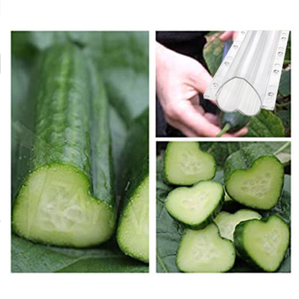 ZAROYEAX Magic Pentagram Heart-shaped Cucumber Fruit Shaping Growth ...