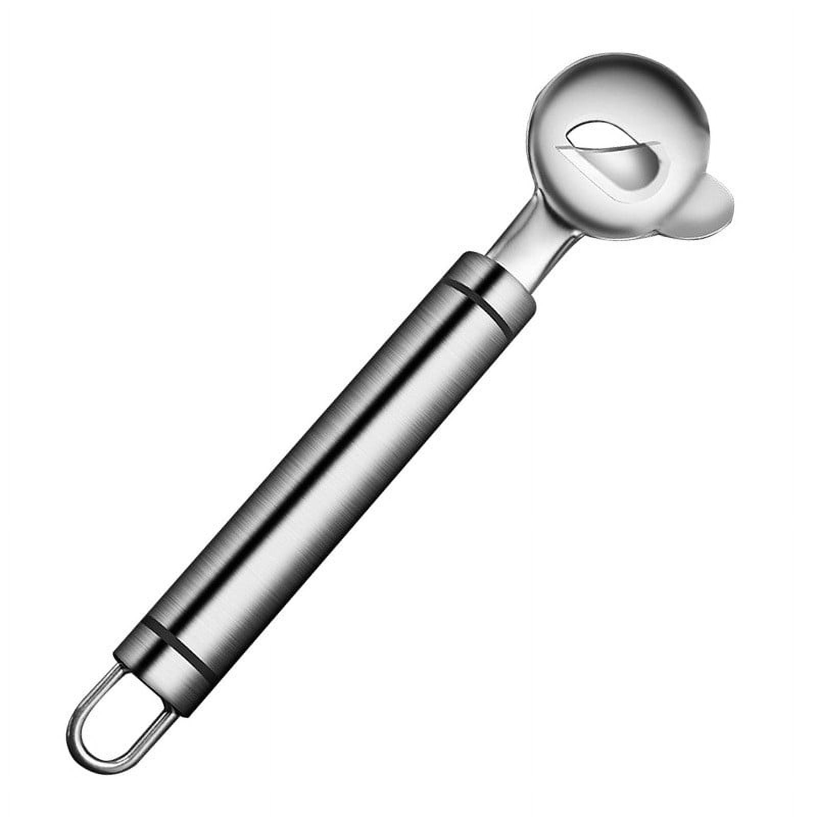 ZAROYEAX Pelador Spoon Cactus Peeler Pelador Cuchara Pelador En Forma ...