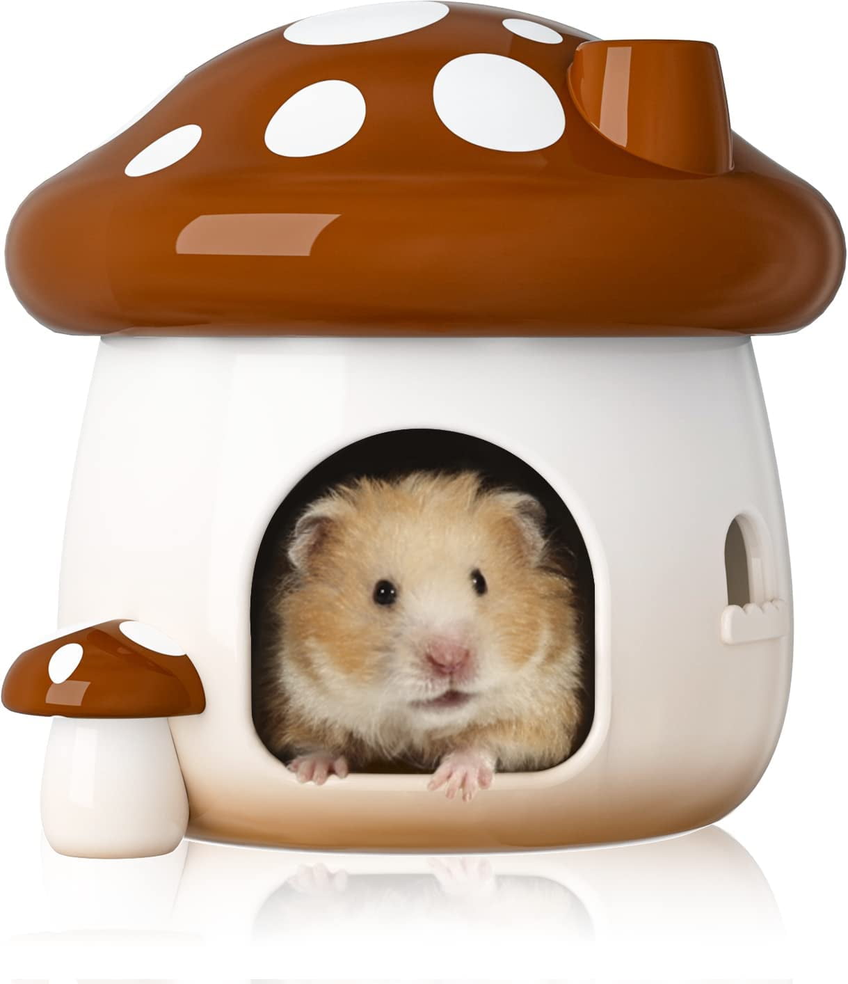 ZAZAIKS Hamster Hideout Ceramic - Cactus Shape Hamster House and ...