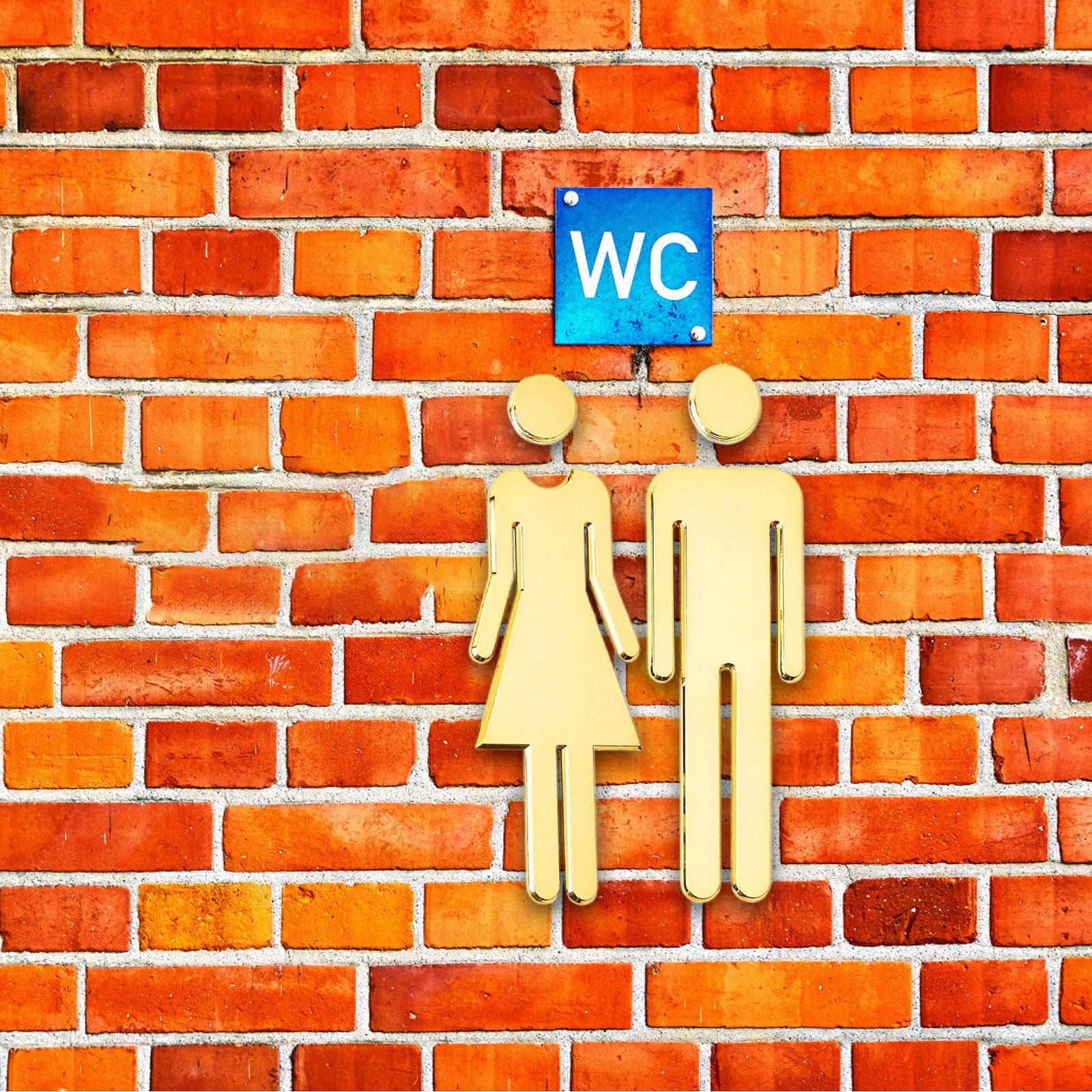 ZBFJINX 1 Set Restroom Sign Ladies Toilet Wc Bathroom Gender Toilet ...