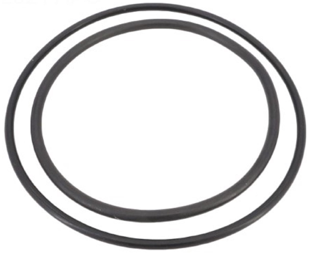 ZBR12200 Pentair O-Ring Kit - Walmart.com