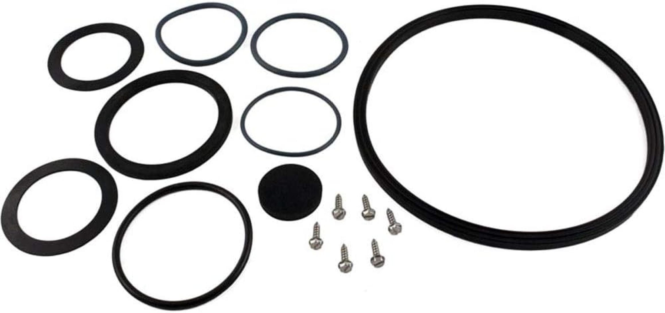ZCLP Jandy Pro Series O-Ring and Hardware Kit JS Series, Replacement Kit JS100-SM - Walmart.com
