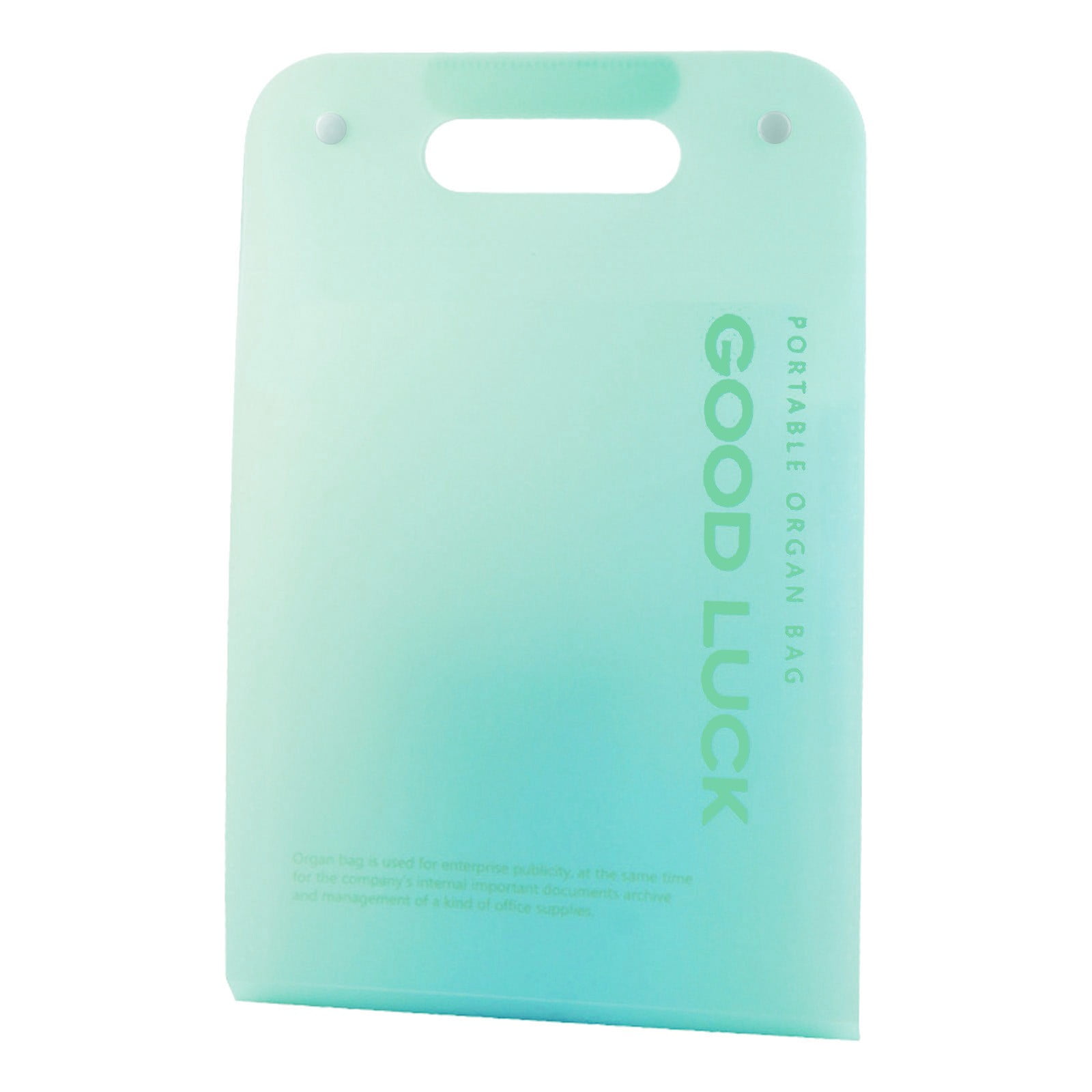 ZCSKFIN Expanding File Folder, A4 Vertical Accordion Document Organizer ...