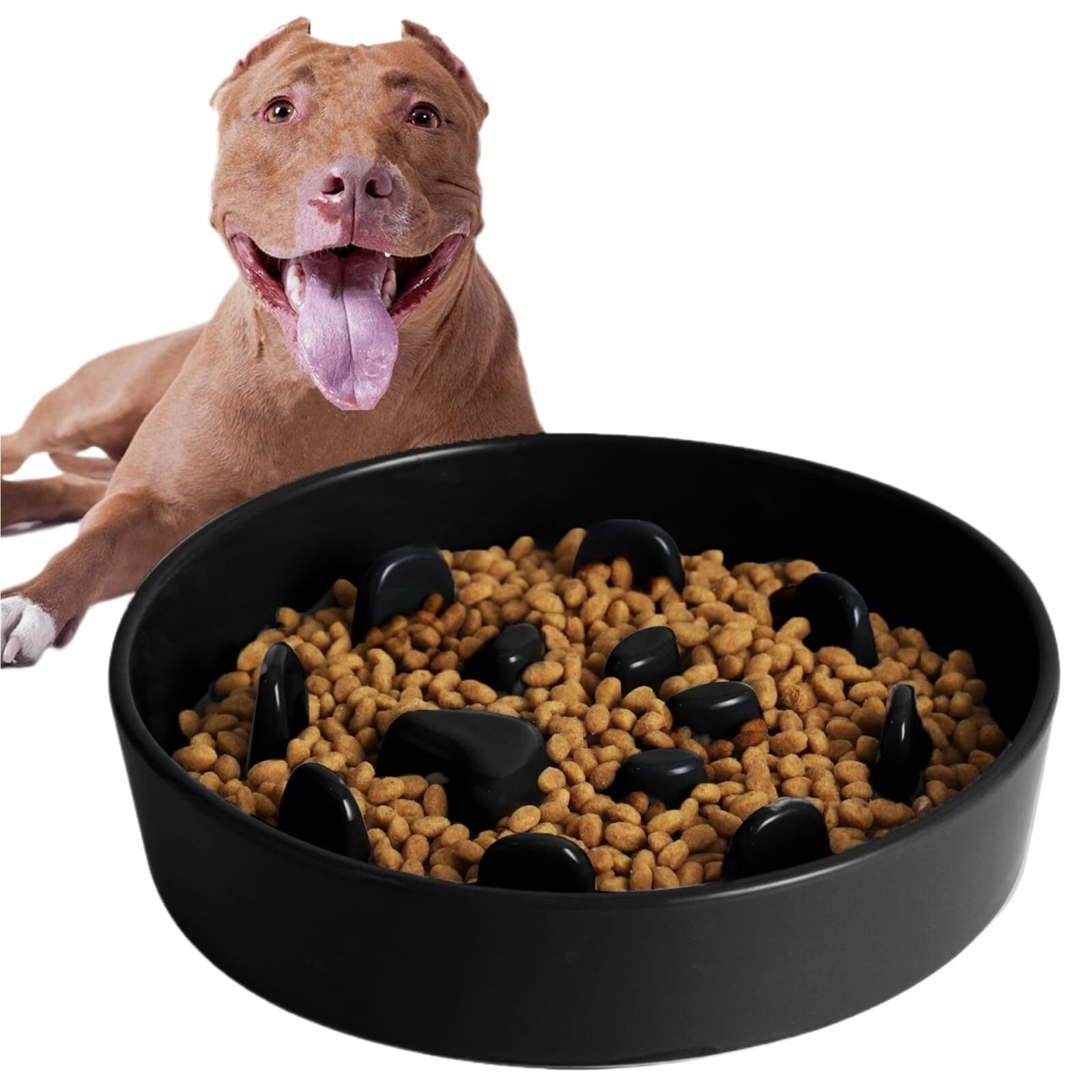 ZD Slow Feeder Dog Bowls, Ceramic Fun Slow Eater Bowl for Small Medium ...
