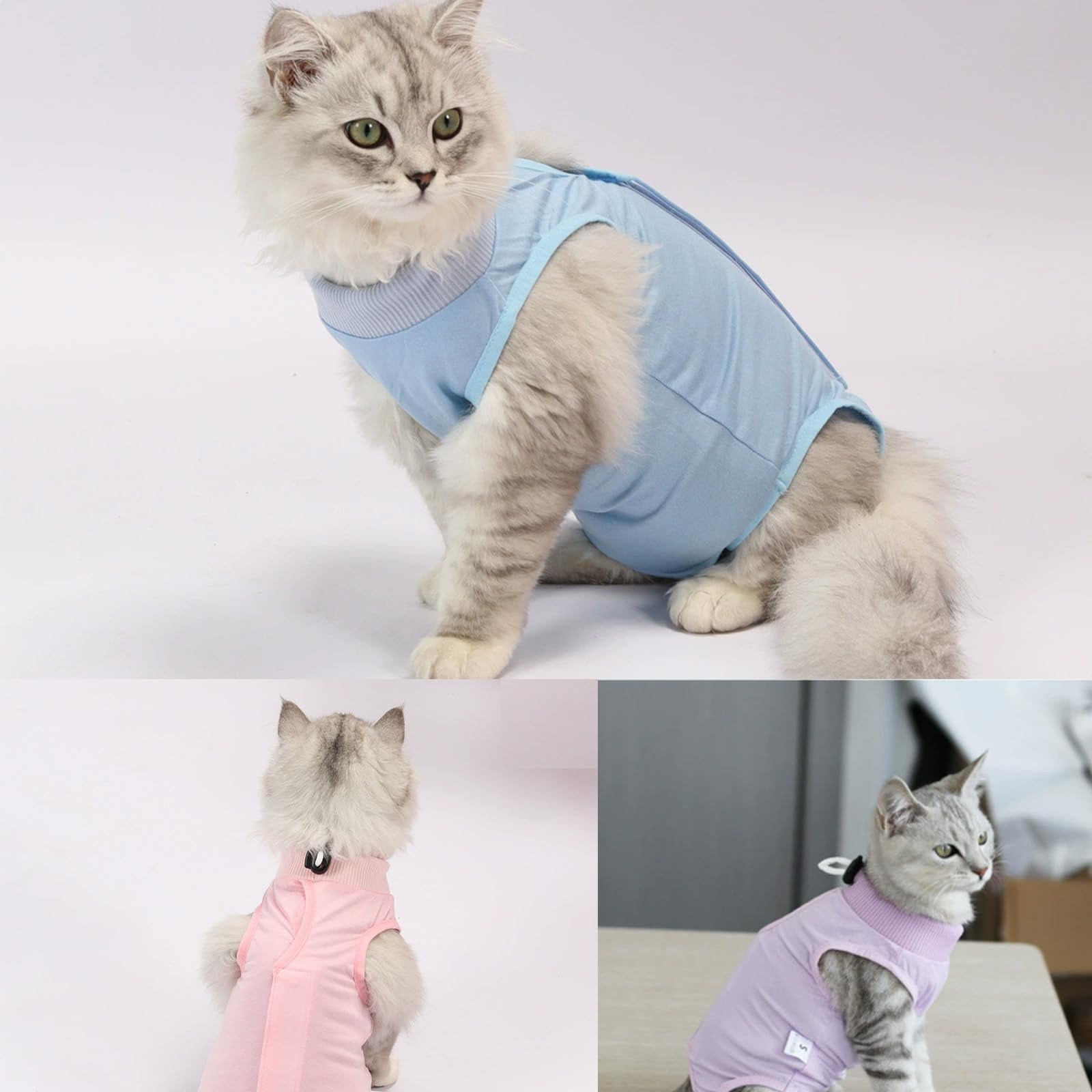ZDM 3 PCS Cat Recovery Suit for Spay Abdominal Wounds Female, Cat ...