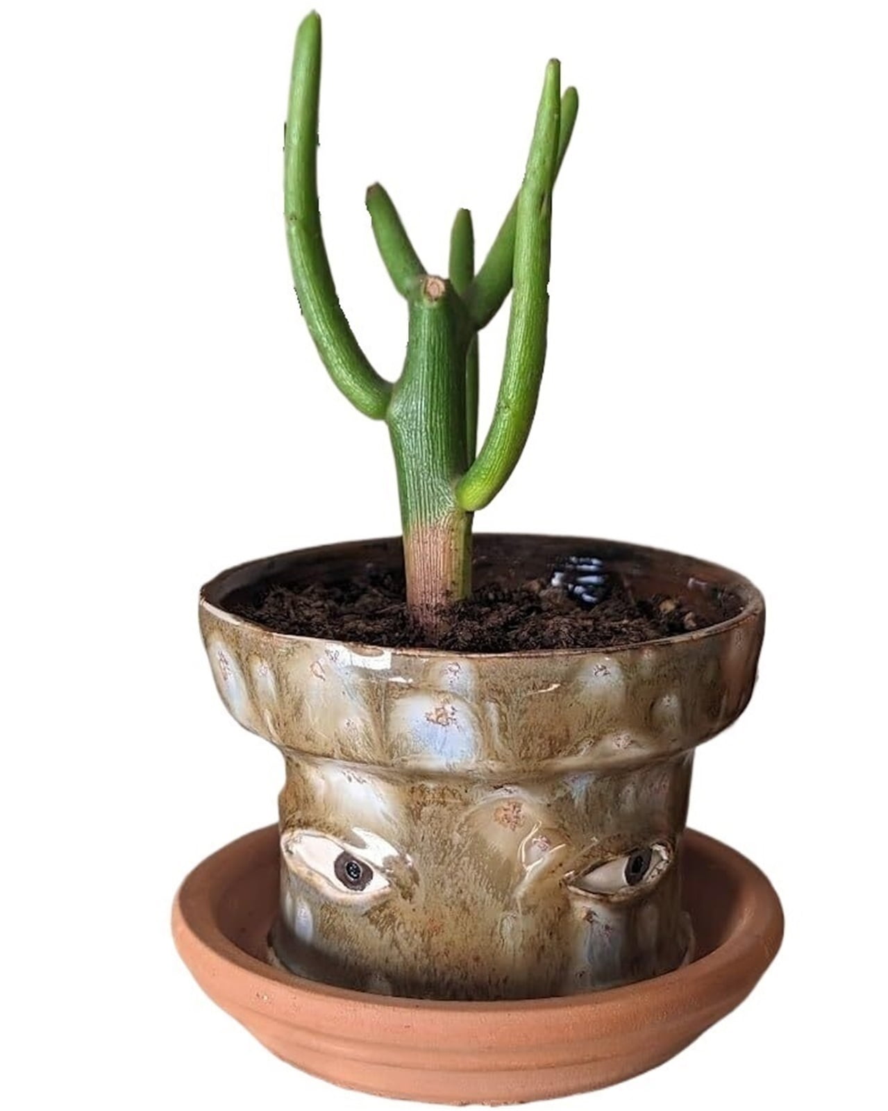 ZDM Handmade Crying Flower Pot, Crying Pots, Funny Abstract Face ...