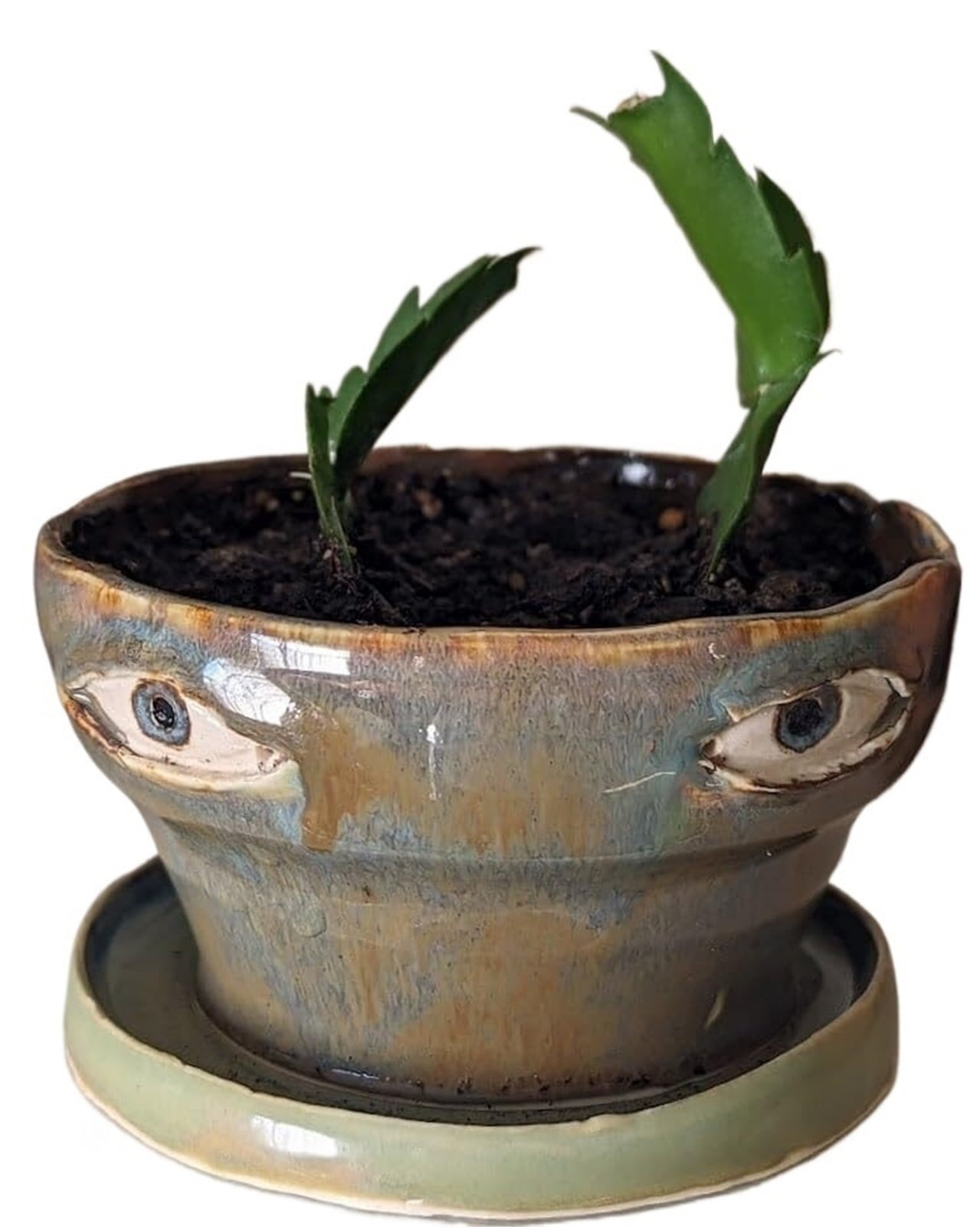 ZDM Handmade Crying Flower Pot, Crying Pots, Funny Abstract Face ...