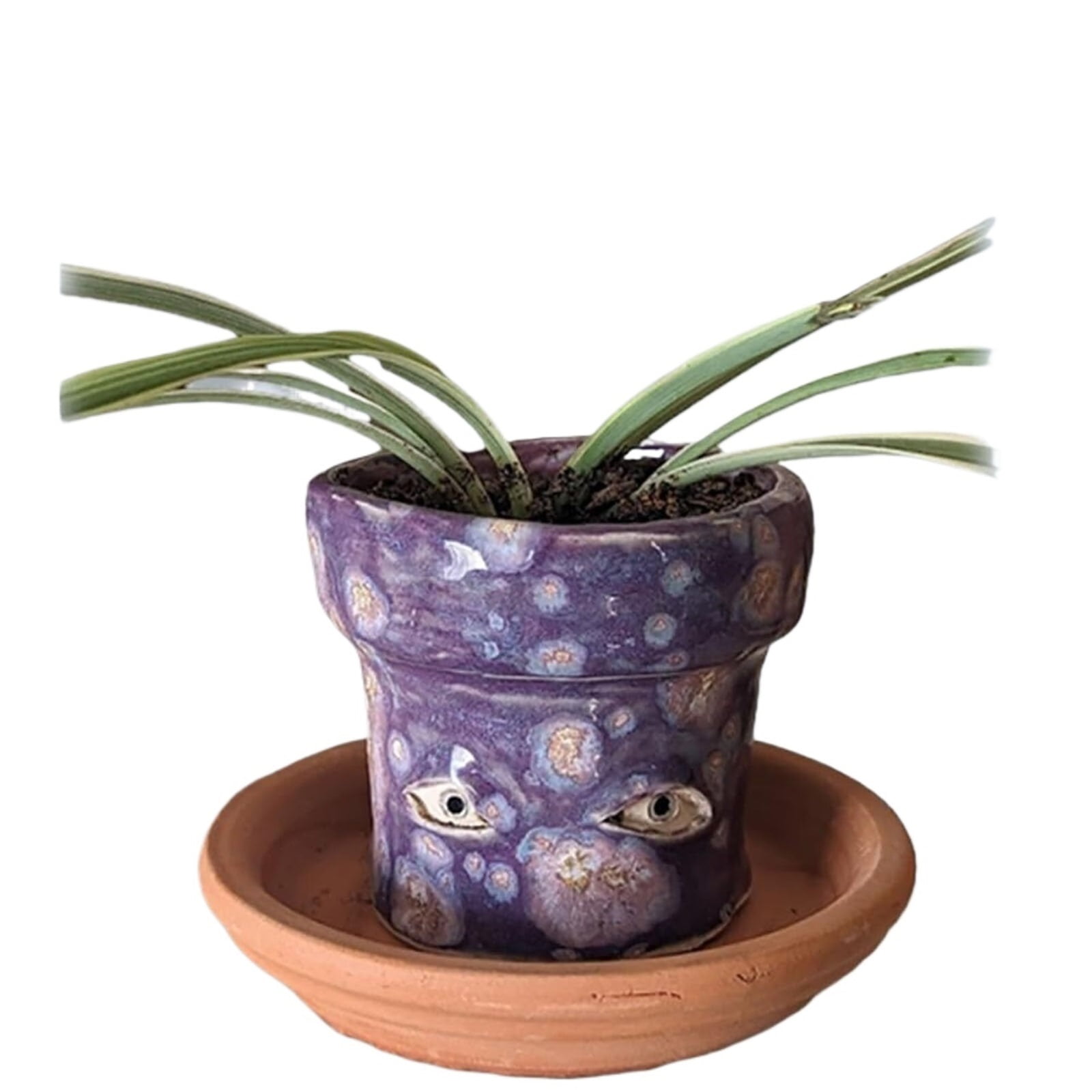 ZDM Handmade Crying Flower Pot, Funny Eye Flower Pot, Abstract Face ...