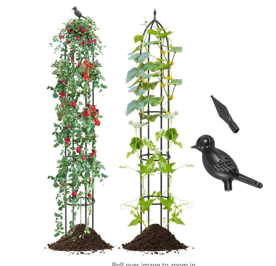 ZDOOR Garden Trellis for Climbing Plants, 78” Tall Metal Obelisk ...