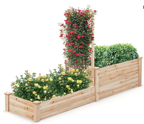 ZDOOR Raised Garden Bed with Trellis, Wood Garden Box w/Open Base Design & 2 Compartments ...