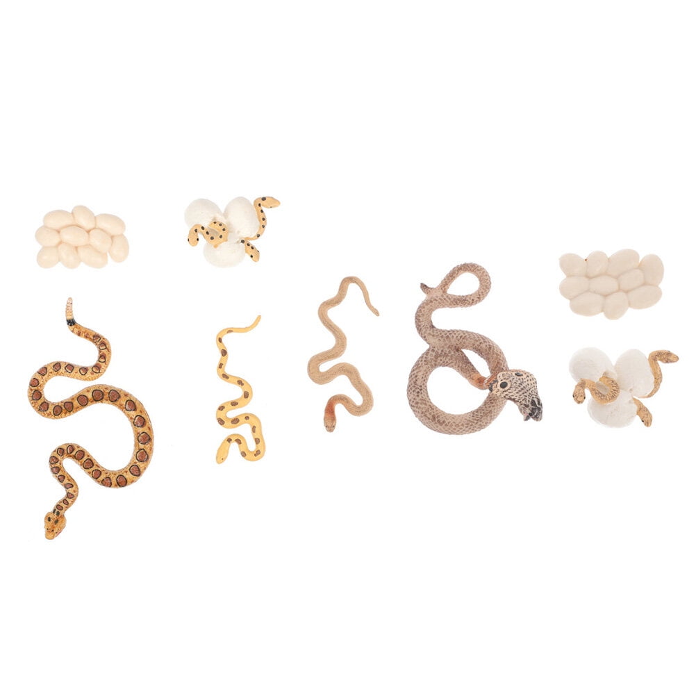 ZEHUANYU 2 Sets of Simulated Snake Growth Models Educational Snake ...