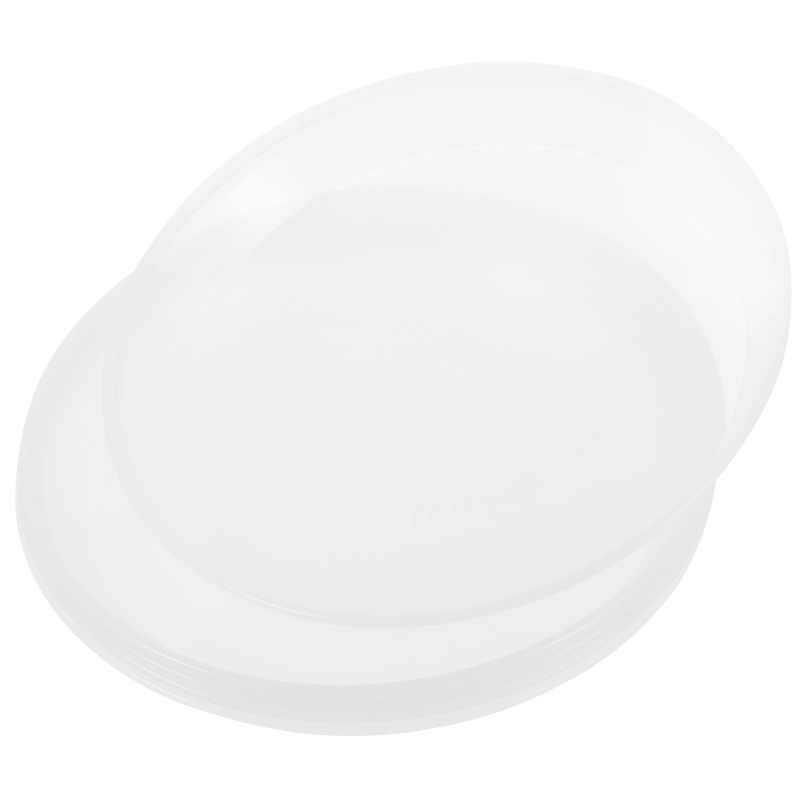 ZEHUANYU 5Pcs Party Fruits Plate Disposable Snacks Plates Barbecue ...