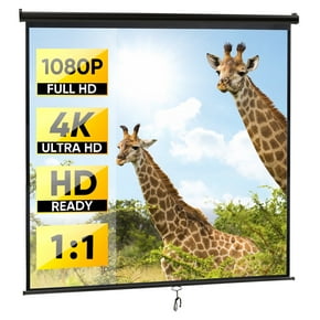 Drop Down Screens Projectors