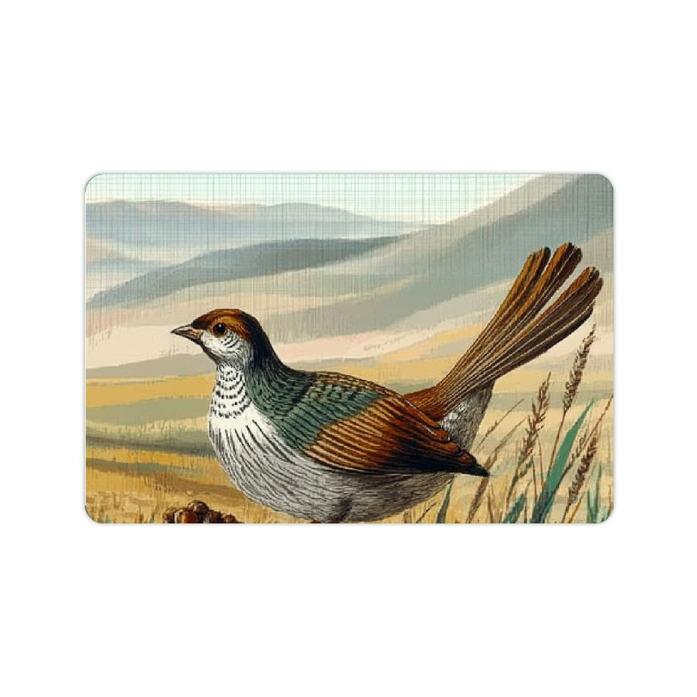 ZFLMY Bird Field Illustration Diatom Mud Bath Mat Home Fast Absorption ...