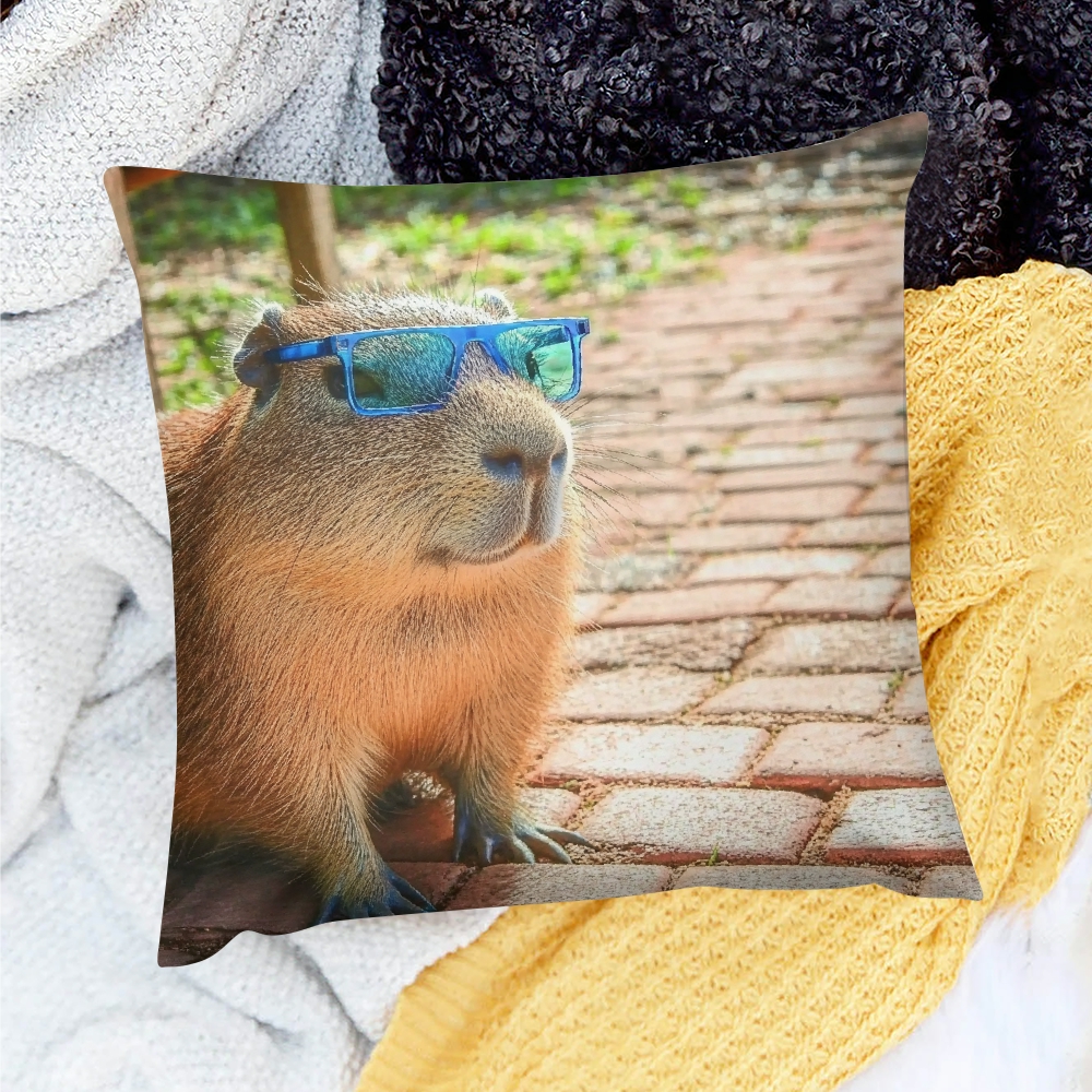 ZFLMY Cool Capybara Throw Pillow Cover Cute Capybara with Sunglasses ...