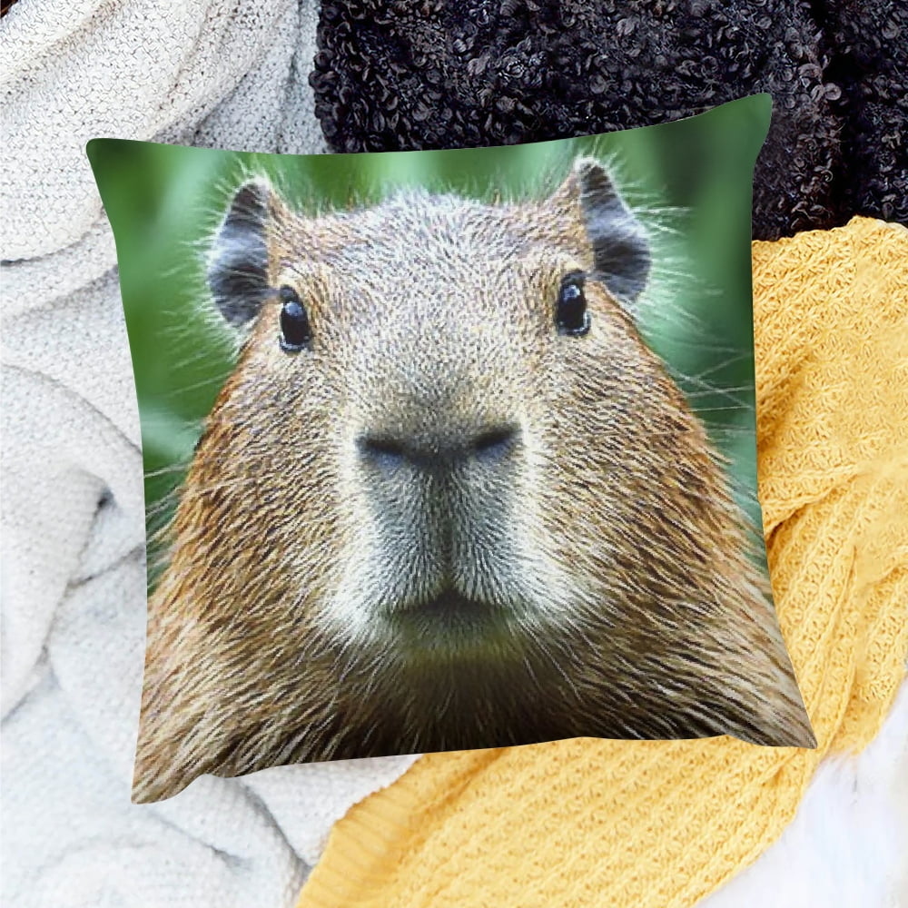 ZFLMY Young Capybara Throw Pillow Cover Funny Capybaras Pillow Cover ...