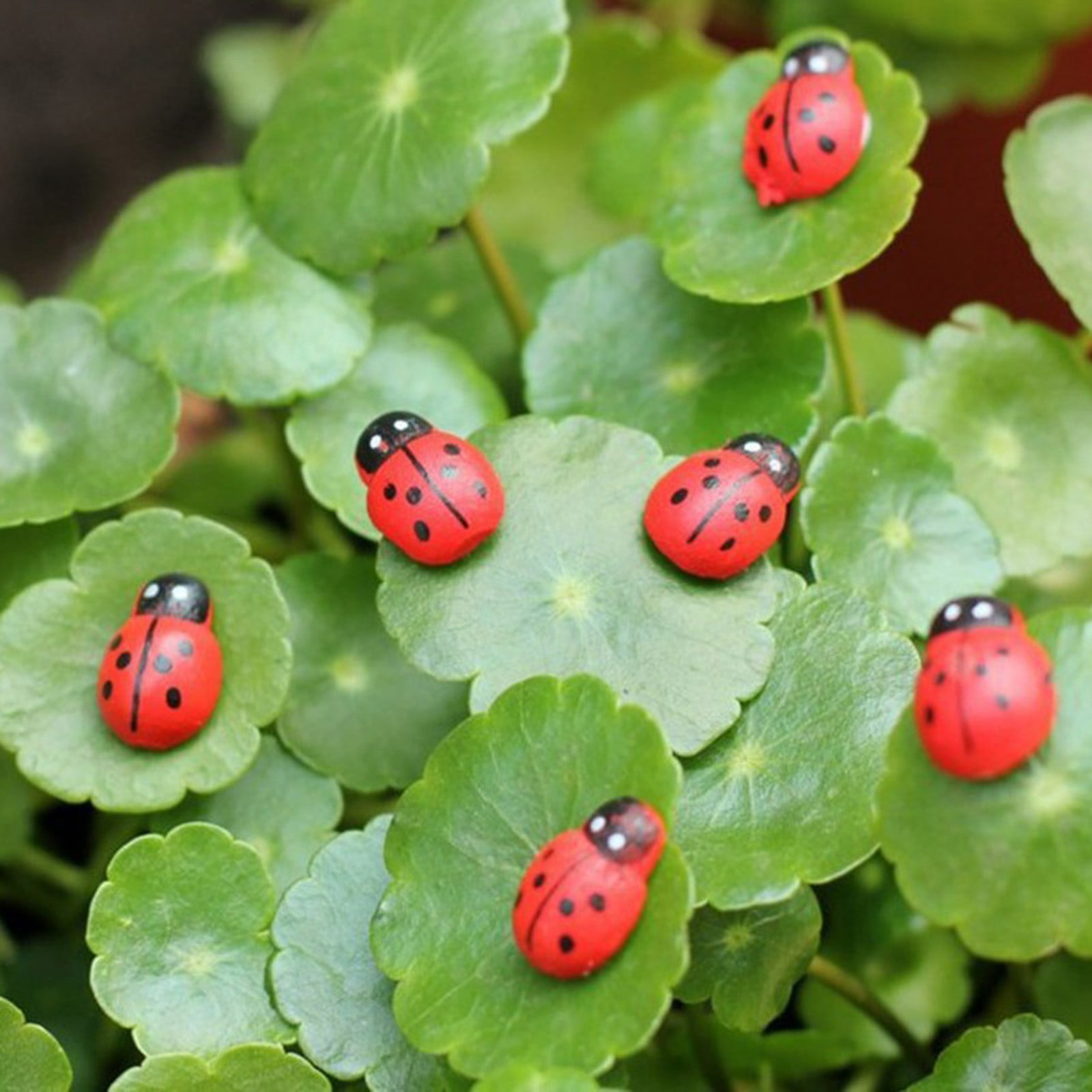 ZFWDUNSA Miniature Deco Little Coccinella Septempunctata Resin Crafts ...