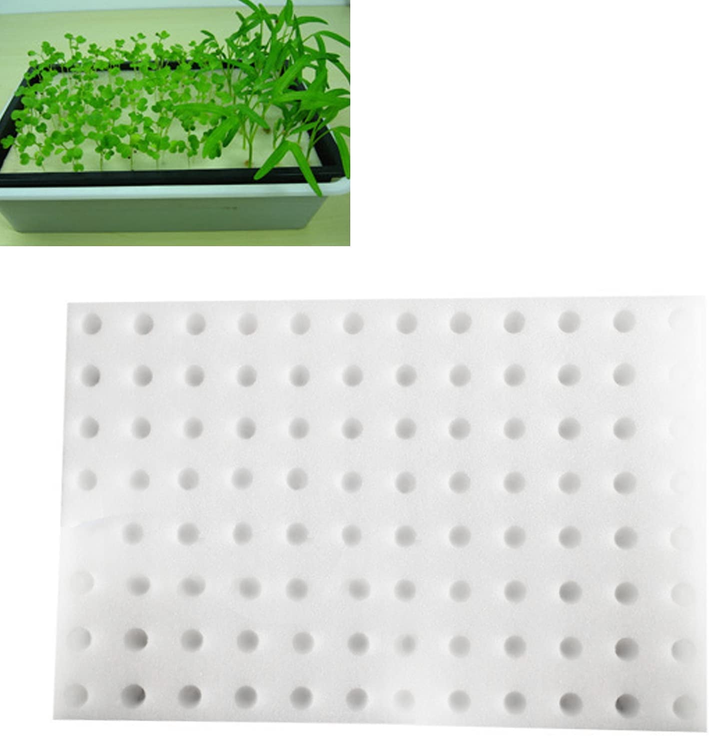 ZGAD Hydroponic Sponge, Long‑Lasting Safe and Durable Garden Nursery ...