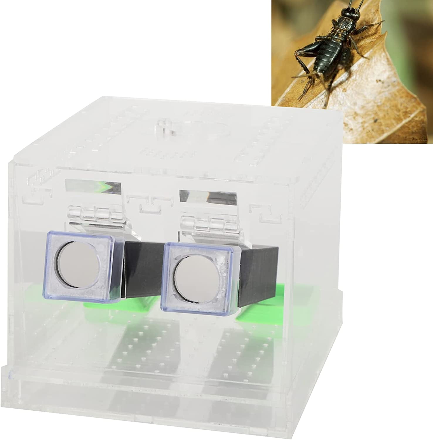 ZHAAGRJ Cricket Keeper, Acrylic Feeding Cricket Keeper with Tubes Feces ...