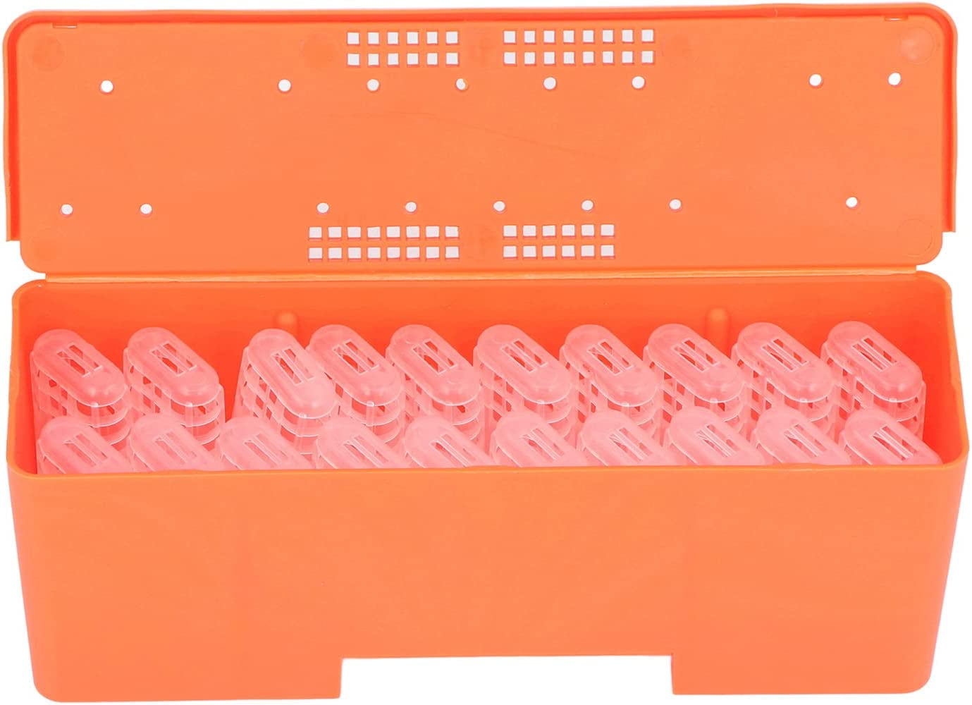 ZHAAGRJ Queen Bee Cages Box, Queen Cages for Bees, Queen Cage with 20 ...