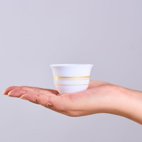 ZHANYU-Middle Eastern Style Disposable Heavy Duty Hard Plastic Cups, 1 ...