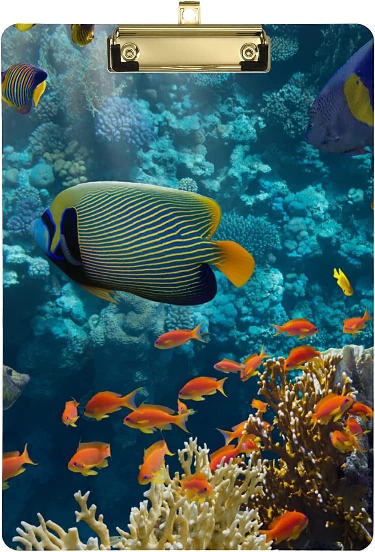 ZHANZZK Coral Fish Sea Clipboard Hardboard Wood Nursing Clip Board and ...