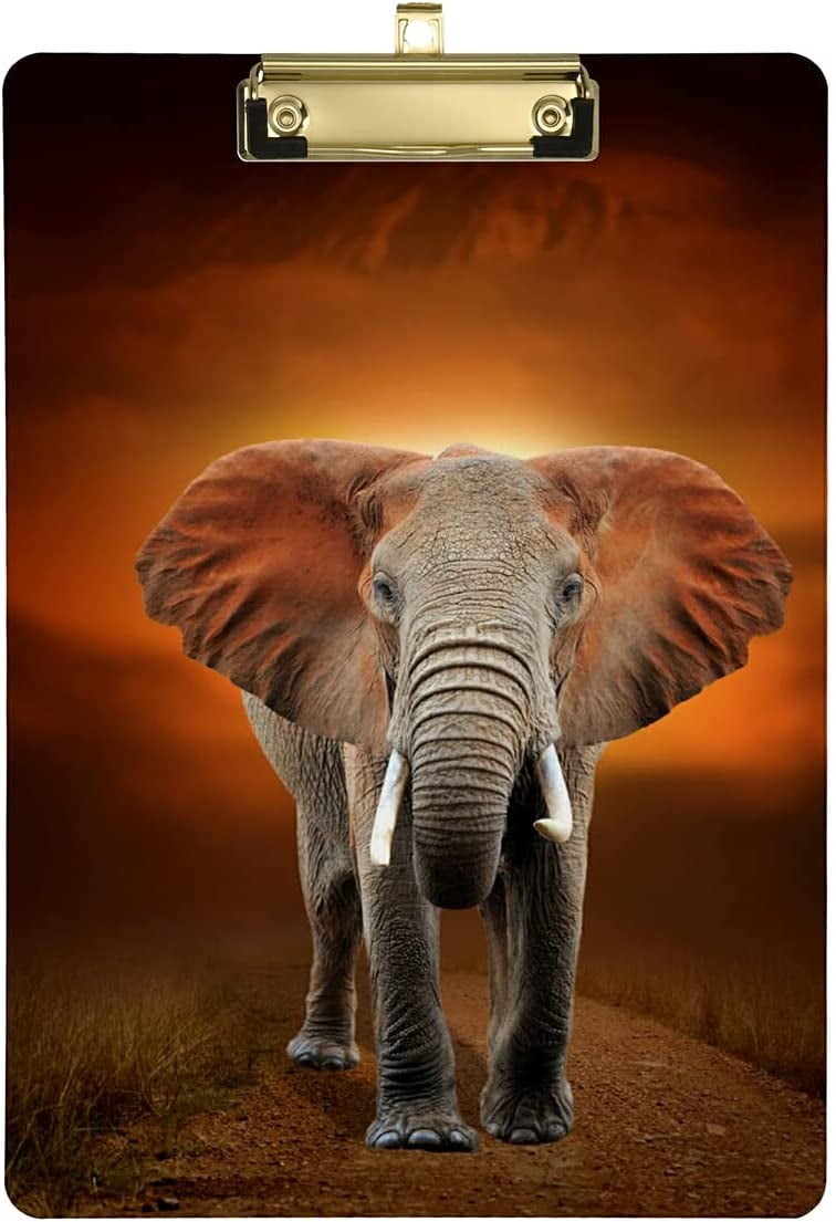 ZHANZZK Elephant Clipboard Hardboard Wood Nursing Clip Board and Pull ...