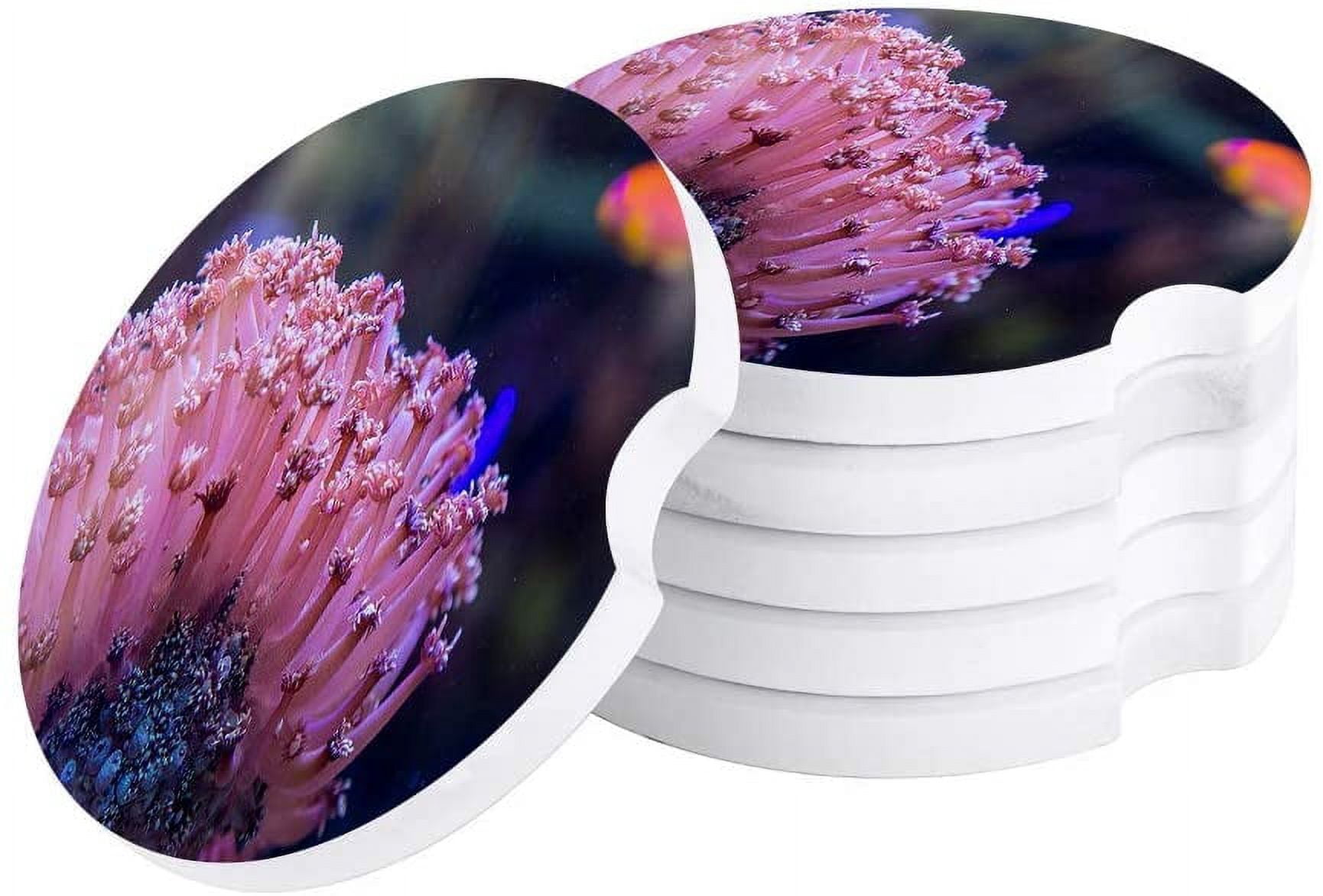 ZHANZZK Pink Coral Set of 6 Car Coaster for Drinks, Absorbent Ceramic ...