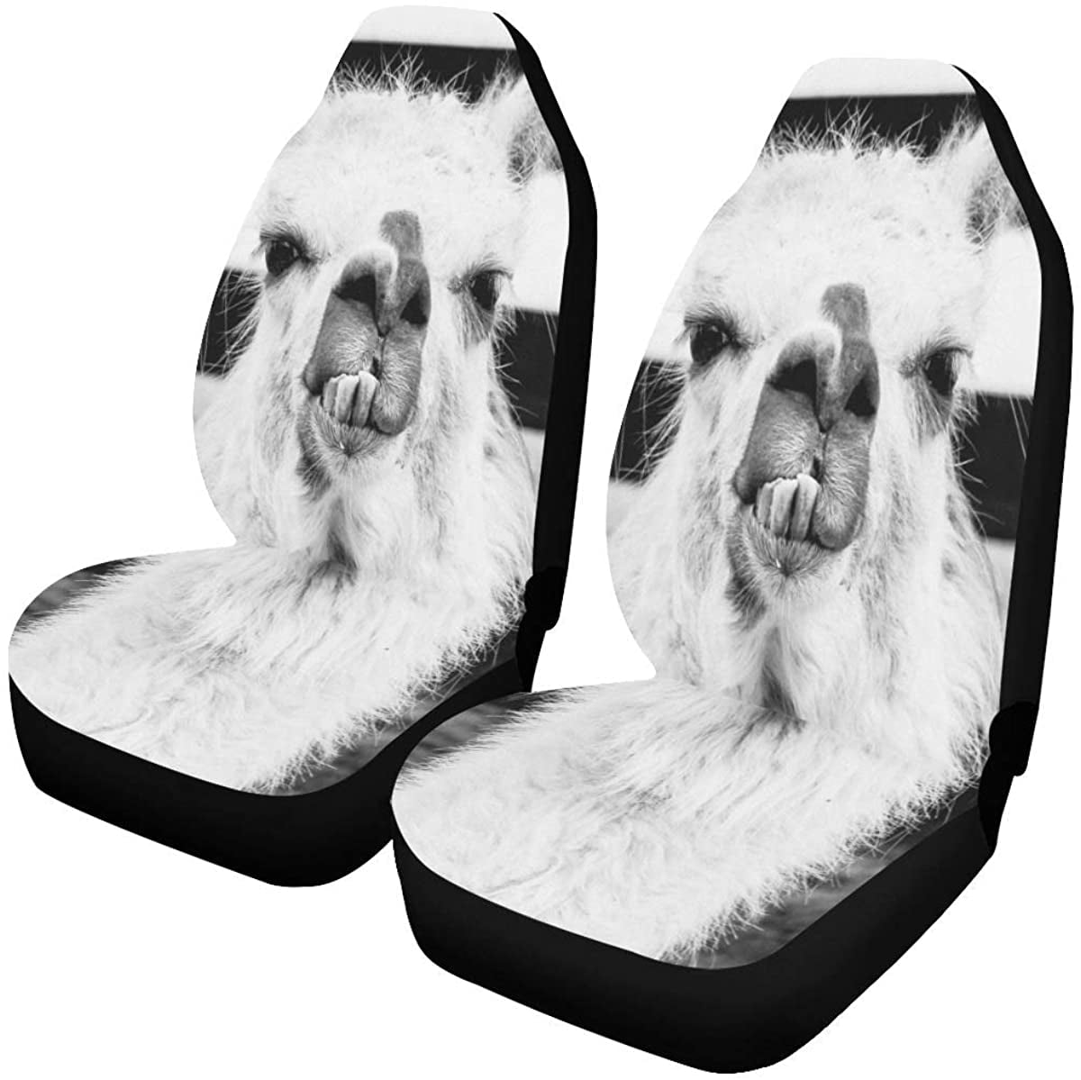 ZHANZZK Set of 2 Car Seat Covers Cute Cartoon Llama Alpaca Universal ...