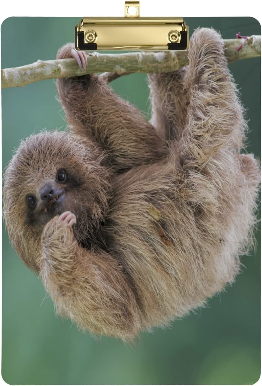 ZHANZZK Sloth Clipboard Hardboard Wood Nursing Clip Board and Pull for ...