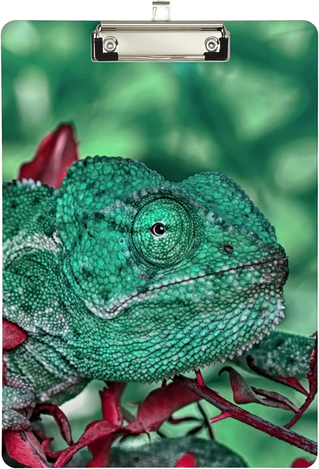 ZHANZZK Tropical Green Chameleon Clipboard Hardboard Wood Nursing Clip ...