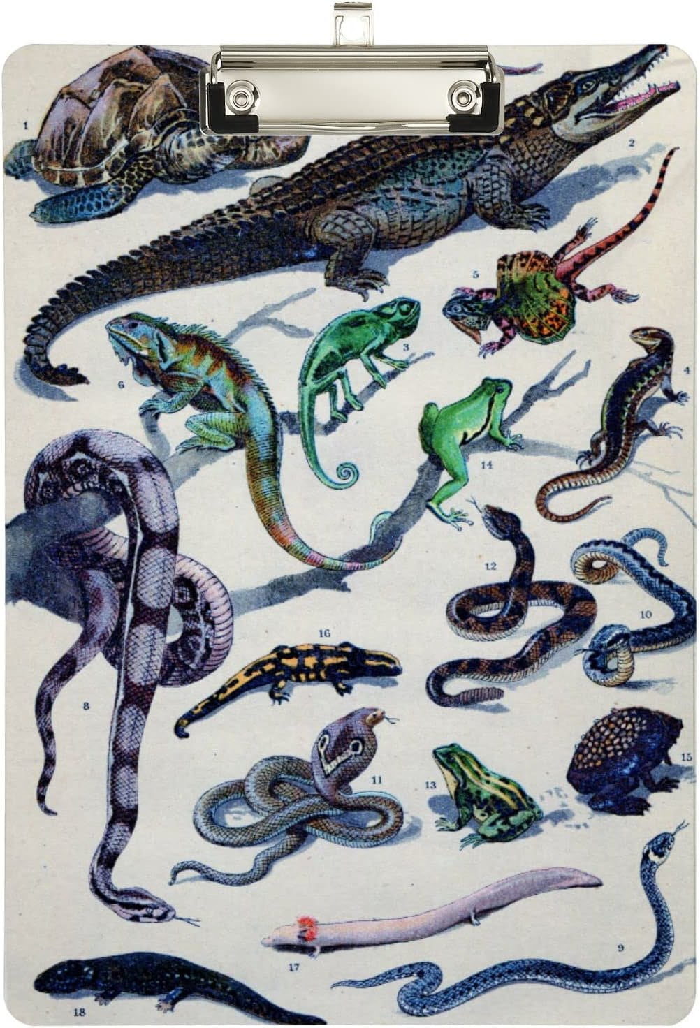 ZHANZZK Vintage Snake Frog Turtle Clipboard Hardboard Wood Nursing Clip ...