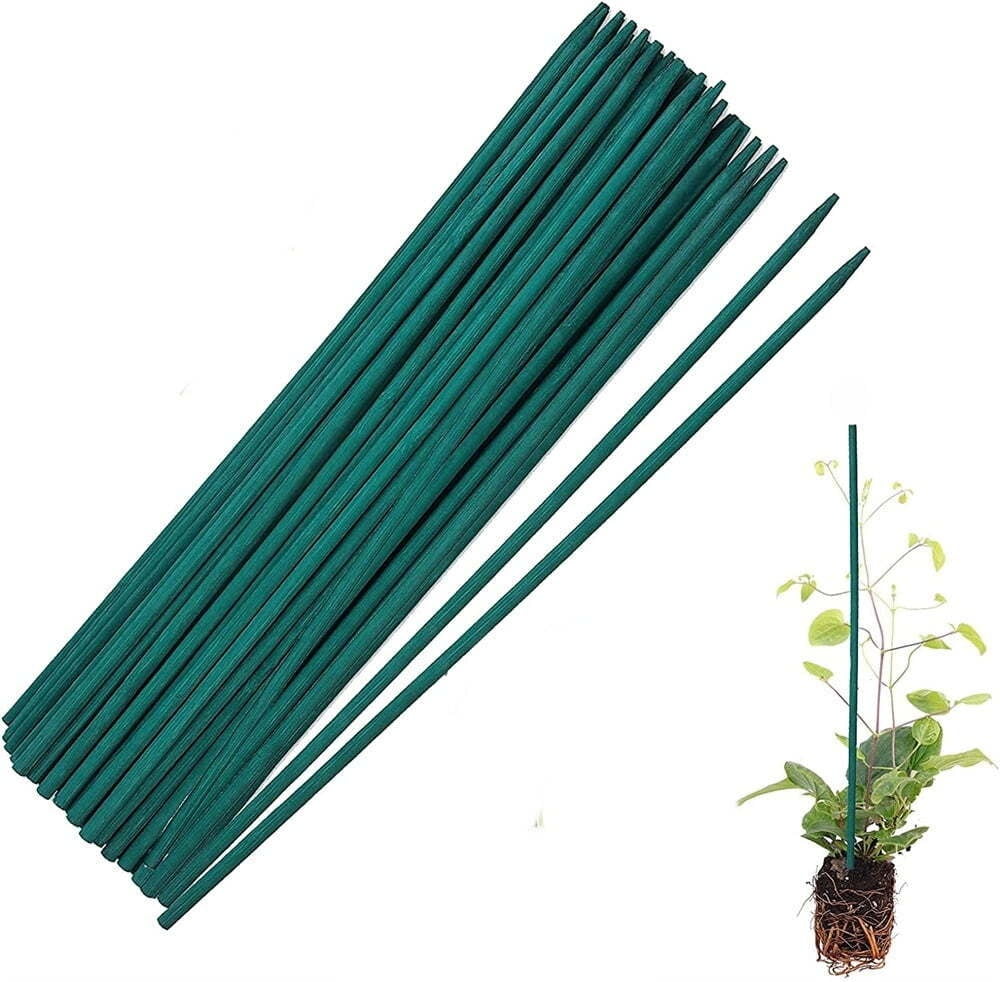 ZHIS Garden Wood Plant Stakes Green Bamboo Sticks,Sturdy Floral Plant ...