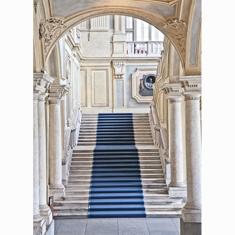 ZHISUXI Castle Theme Photography Backdrops Props Stairs Wedding ...