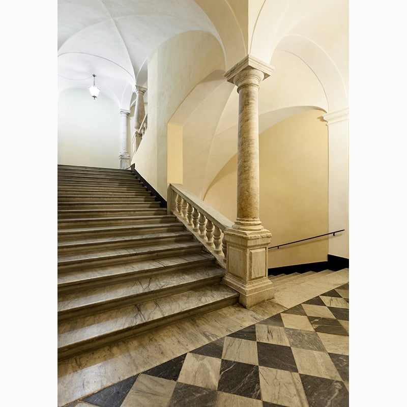 ZHISUXI Castle Theme Photography Backdrops Props Stairs Wedding ...