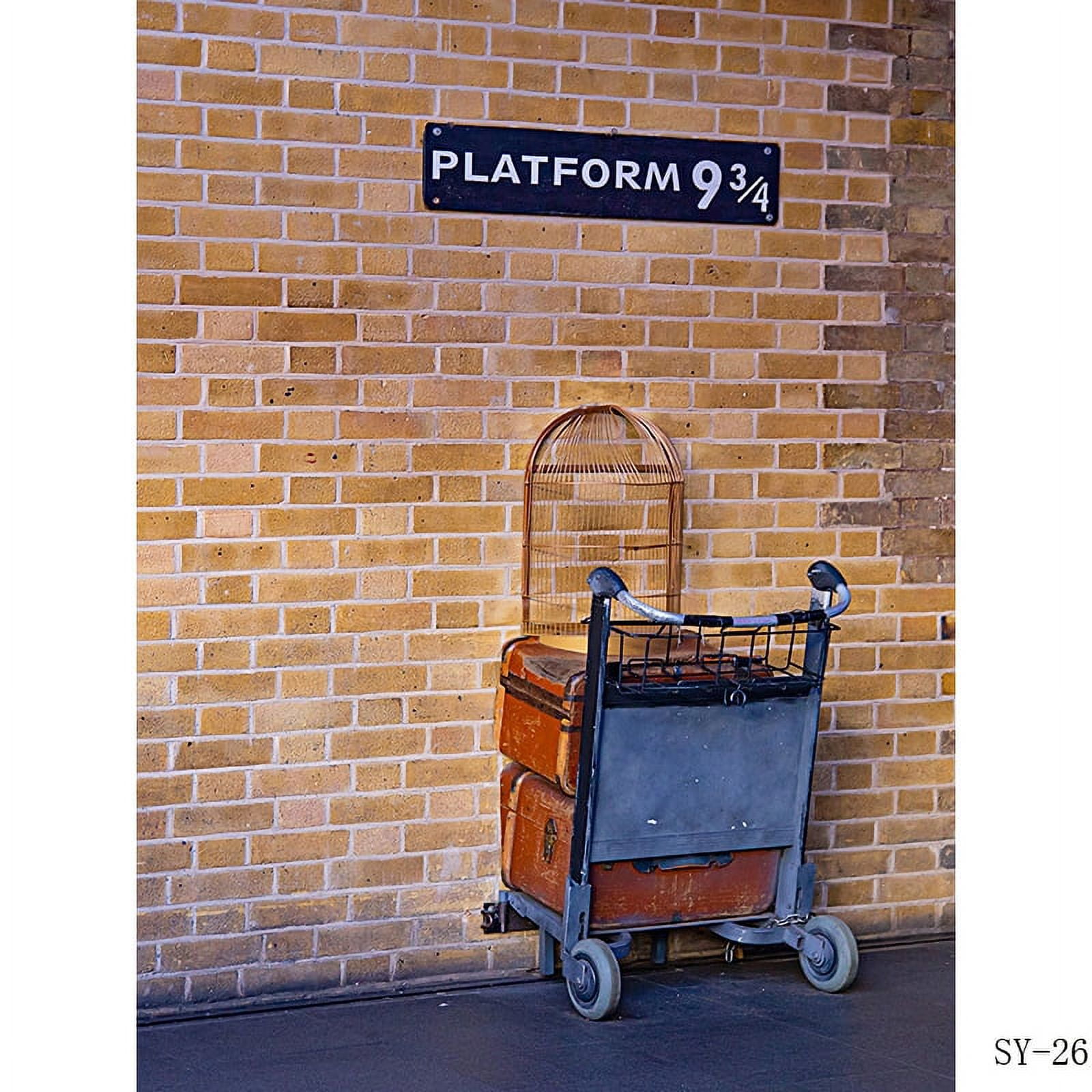 ZHISUXI Platform 9 3/4 King Railway Station Photography Background ...