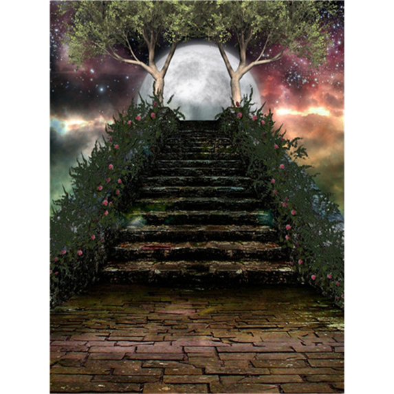 ZHISUXI Vinyl Custom Photography Backdrops Prop Fairy Tale Photography ...