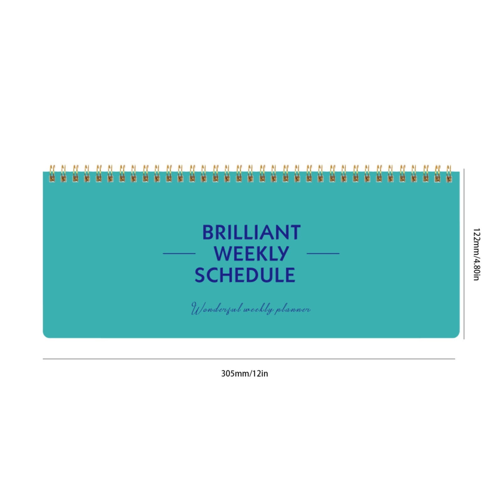 ZHIZAIHU Walmart Membership Benefits! Stationery Supplies 2025 Border ...