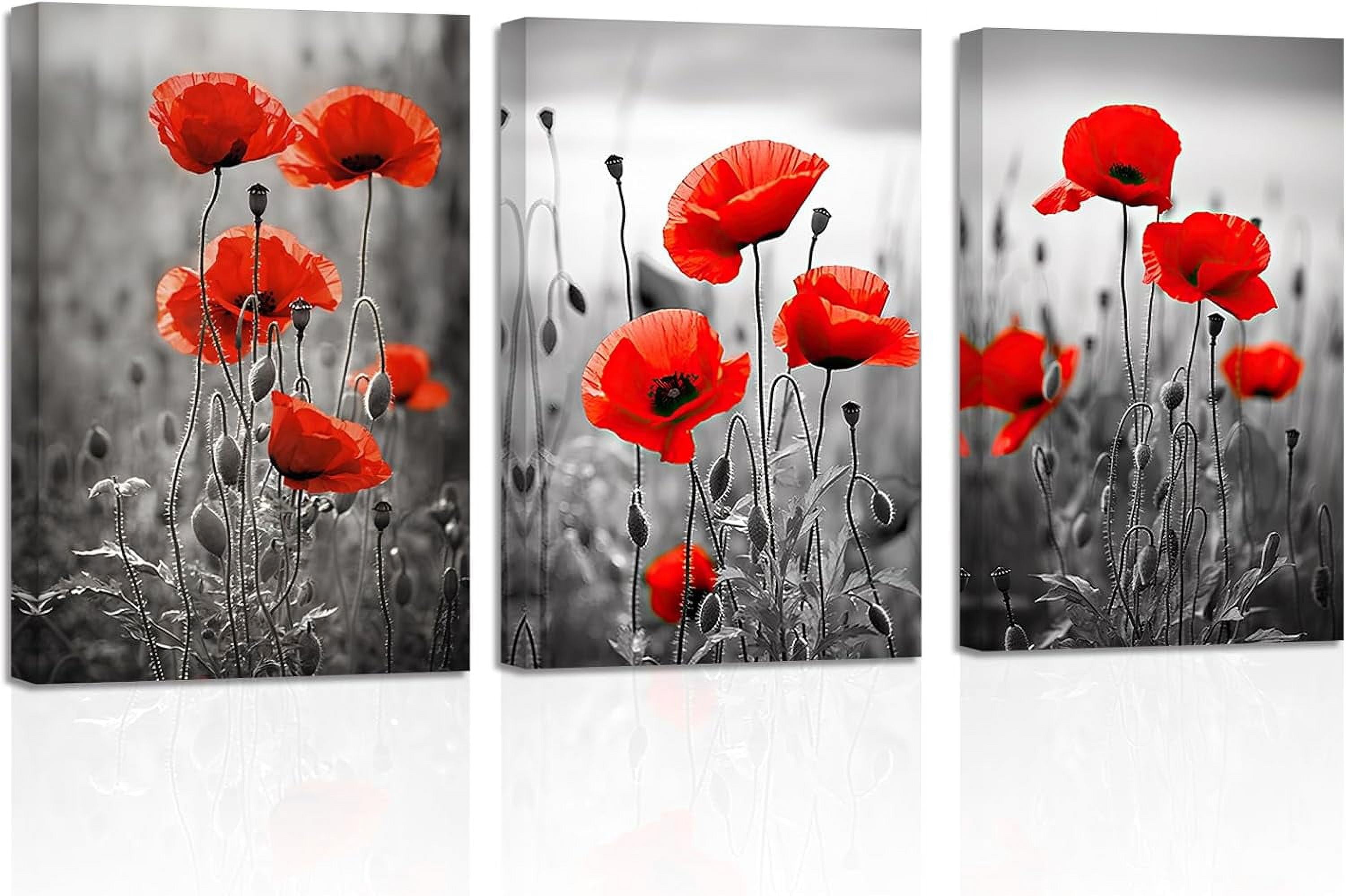 ZHONGYUTONG Red Poppies Canvas Wall Art 3 Piece Black White & Gray ...