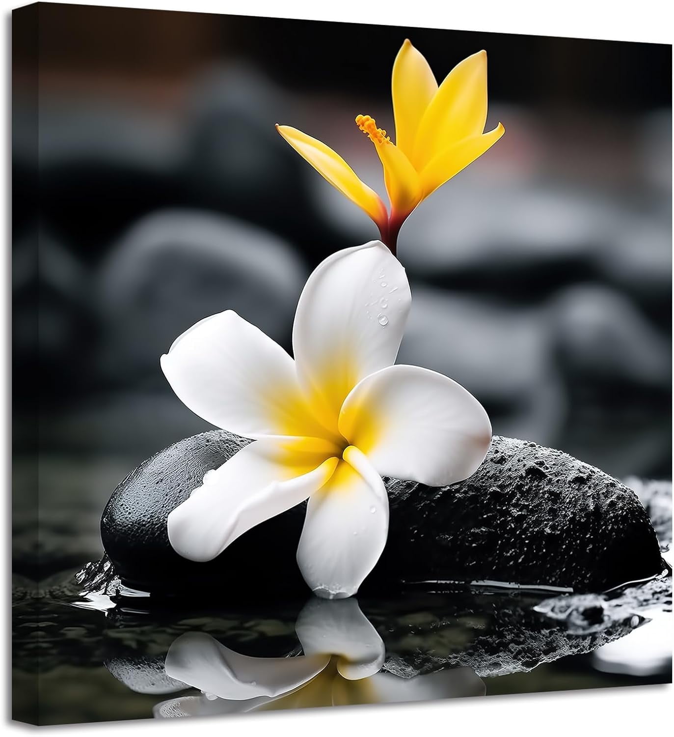 ZHONGYUTONG Zen Wall Art Frangipani with Spa Stone Picture Prints ...