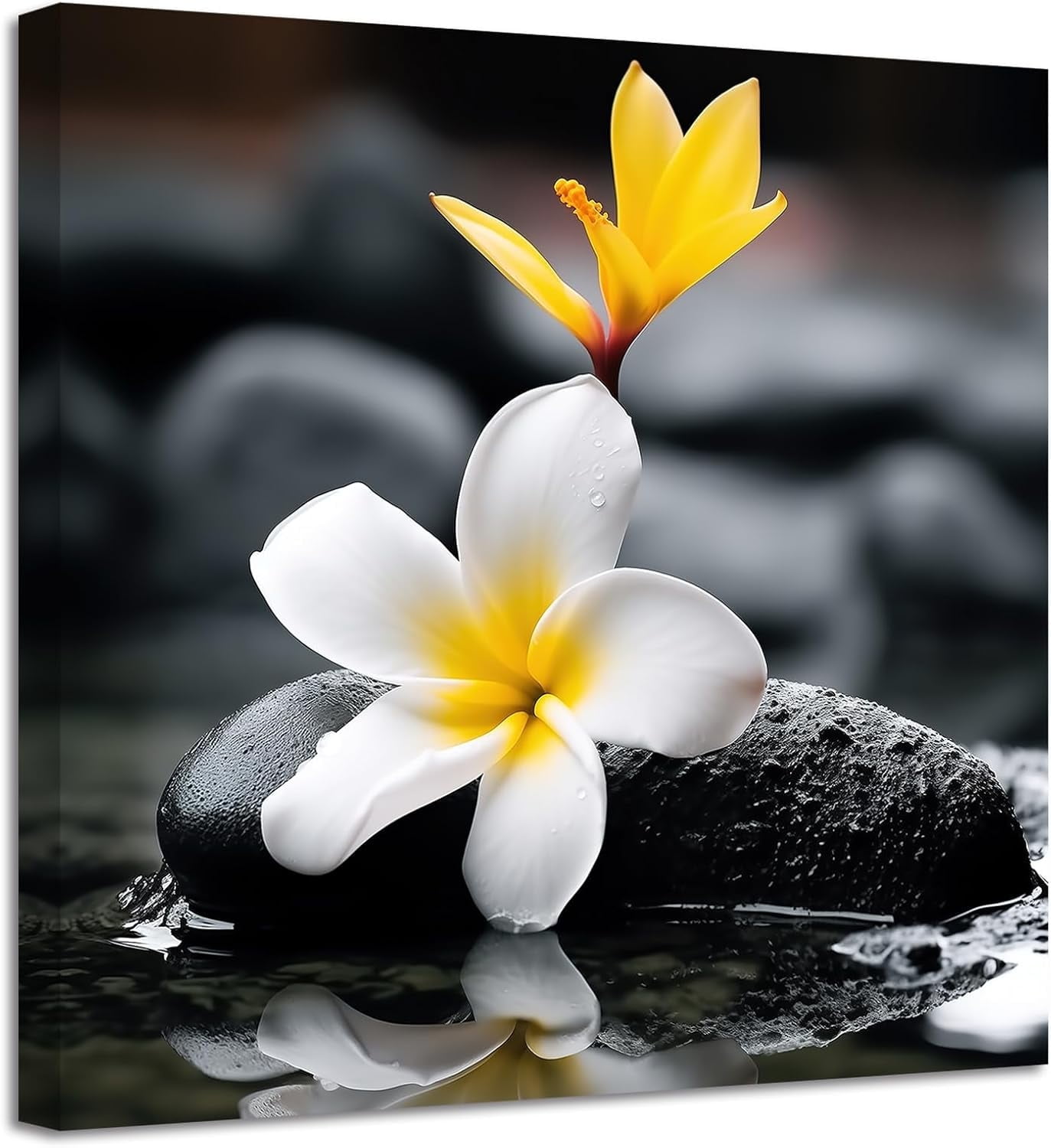 ZHONGYUTONG Zen Wall Art Frangipani with Spa Stone Picture Prints ...