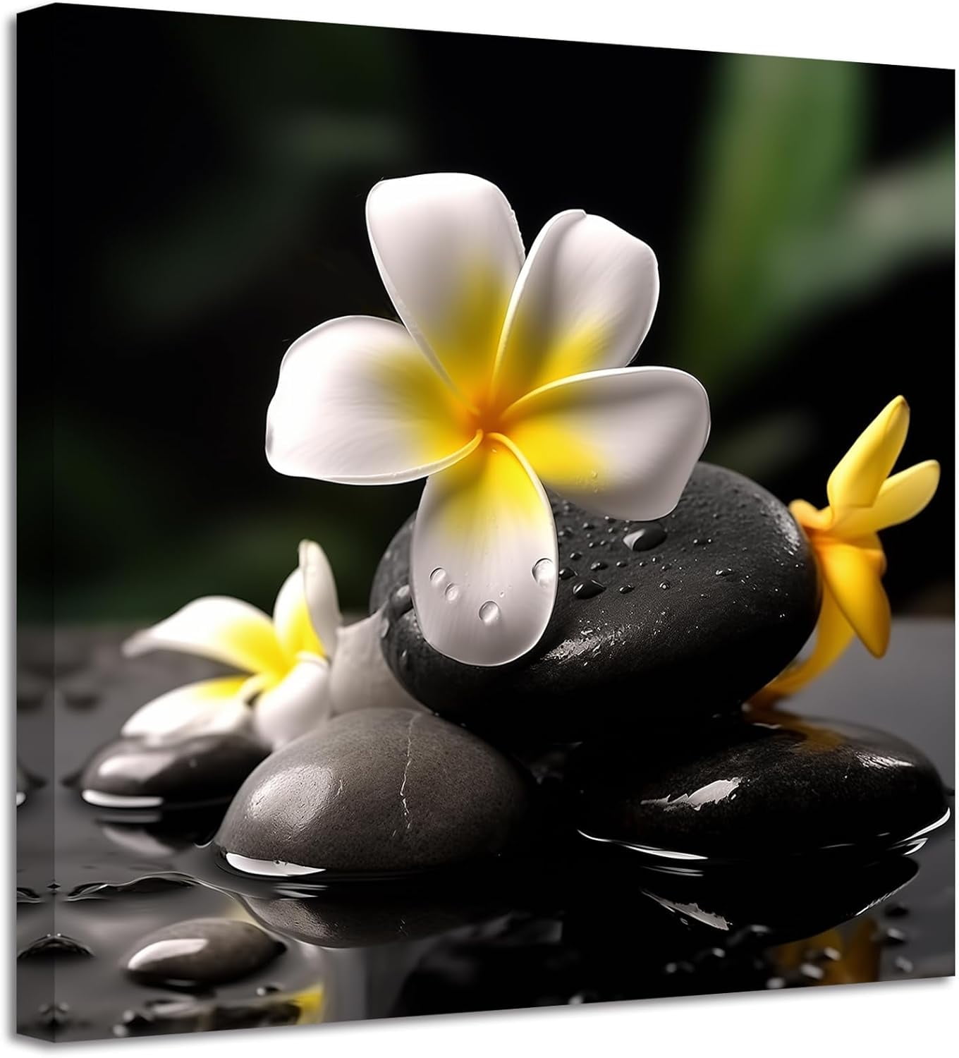 ZHONGYUTONG Zen Wall Art Plumeria with Spa Stone Picture Prints ...