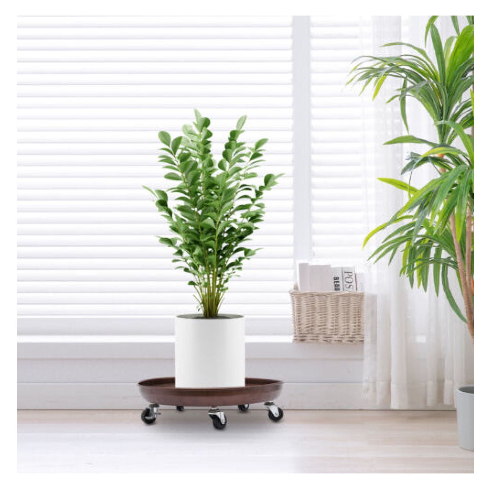 ZHOUJIA Movable Plant Caddy Rolling Heavy Duty Plant Stand Flowerpot ...