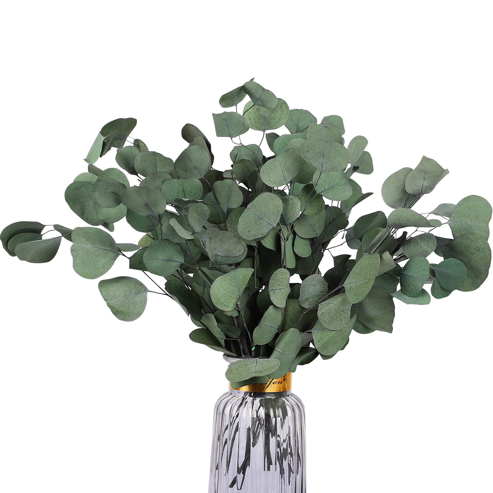 ZHOULG HIAGROW Real Eucalyptus Stems Greenery Decor 20PCS 16" Dried ...