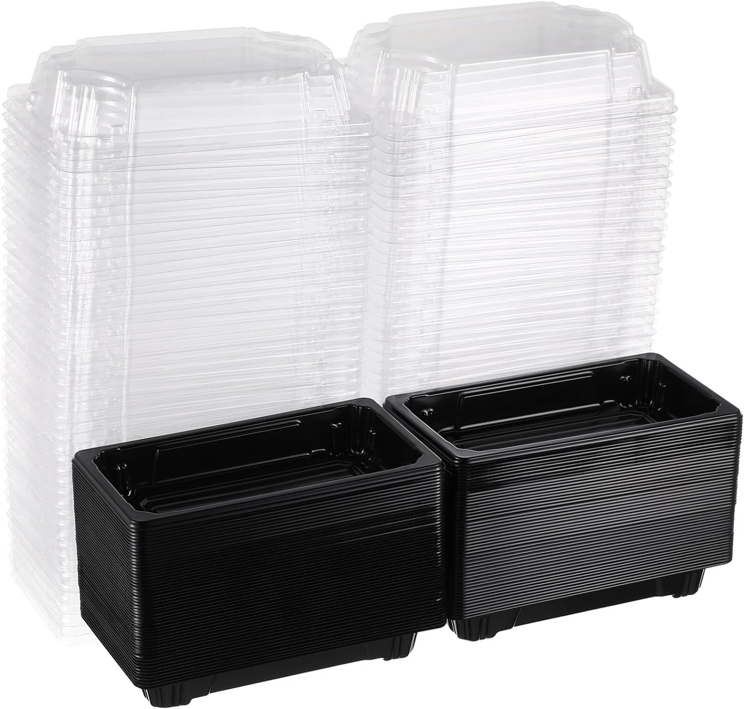ZHQ Sushi Containers with Lid: 100 Pcs Black Disposable Sushi ...
